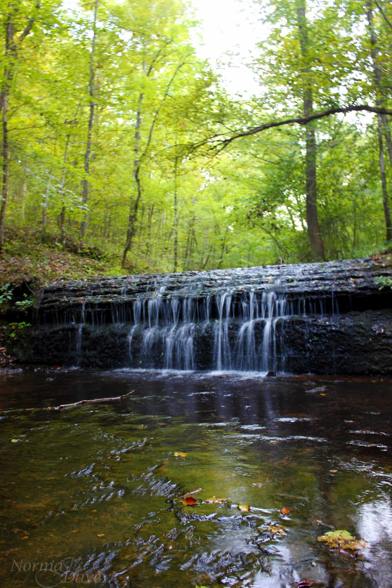 keep-chamber-content-flowing - Frank J. Kenny's Chamber of Commerce ...