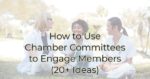 How Chamber Committees Can Engage Members (20+ Ideas)